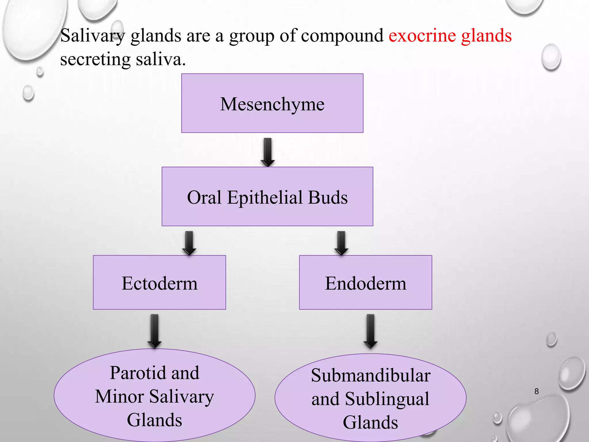 Saliva and salivary glands by Dr.Nilesh Vaidya | PPTX