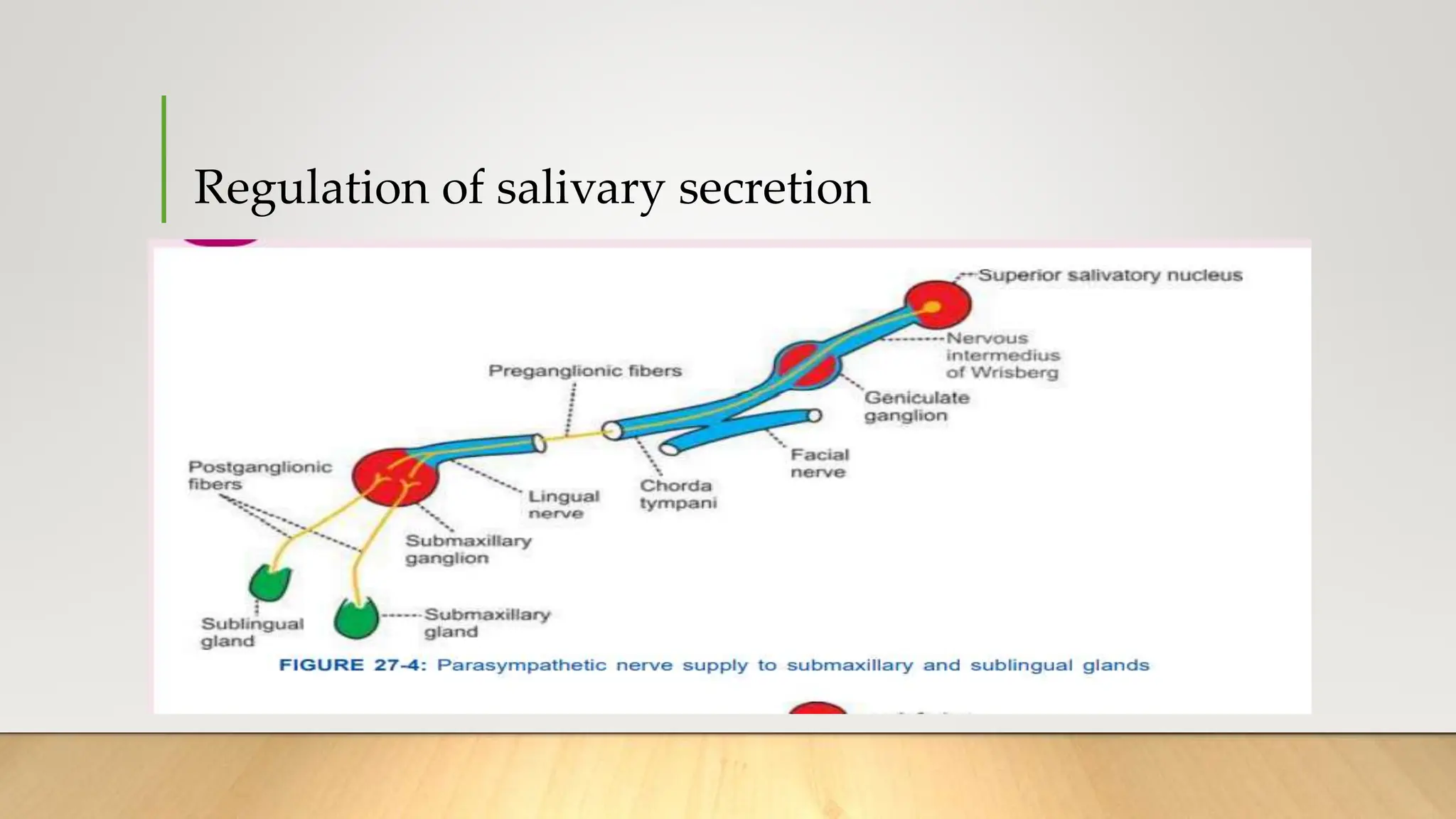 SALIVA AS A DIAGNOSTIC TOOL.pptx