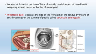 Saliva in prosthodontics | PPTX