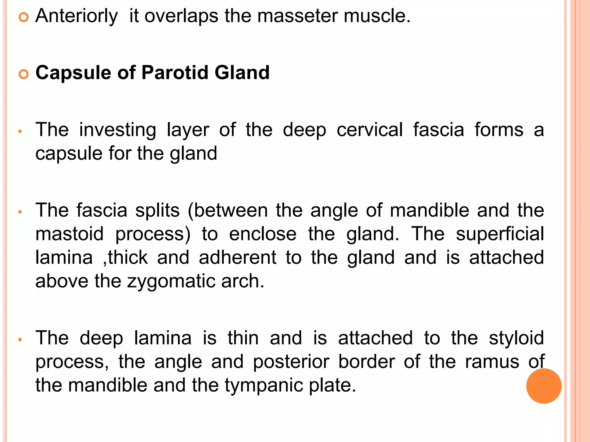 Saliva its anatomy and physiology of salivary glands | PPTX