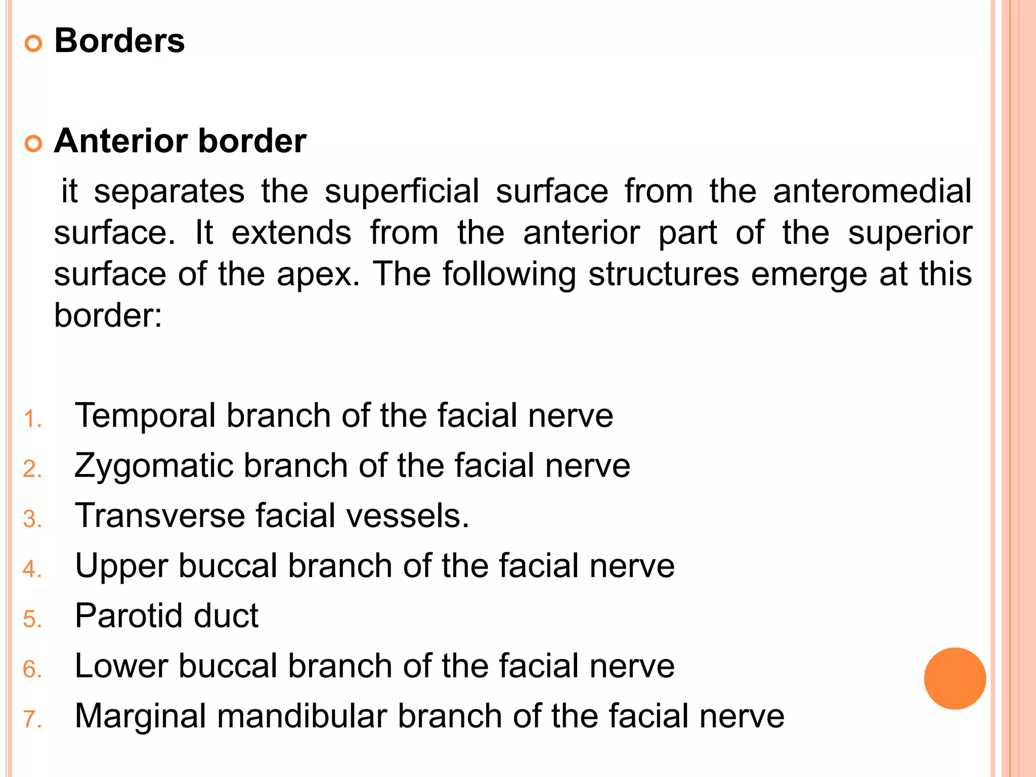 Saliva its anatomy and physiology of salivary glands | PPTX