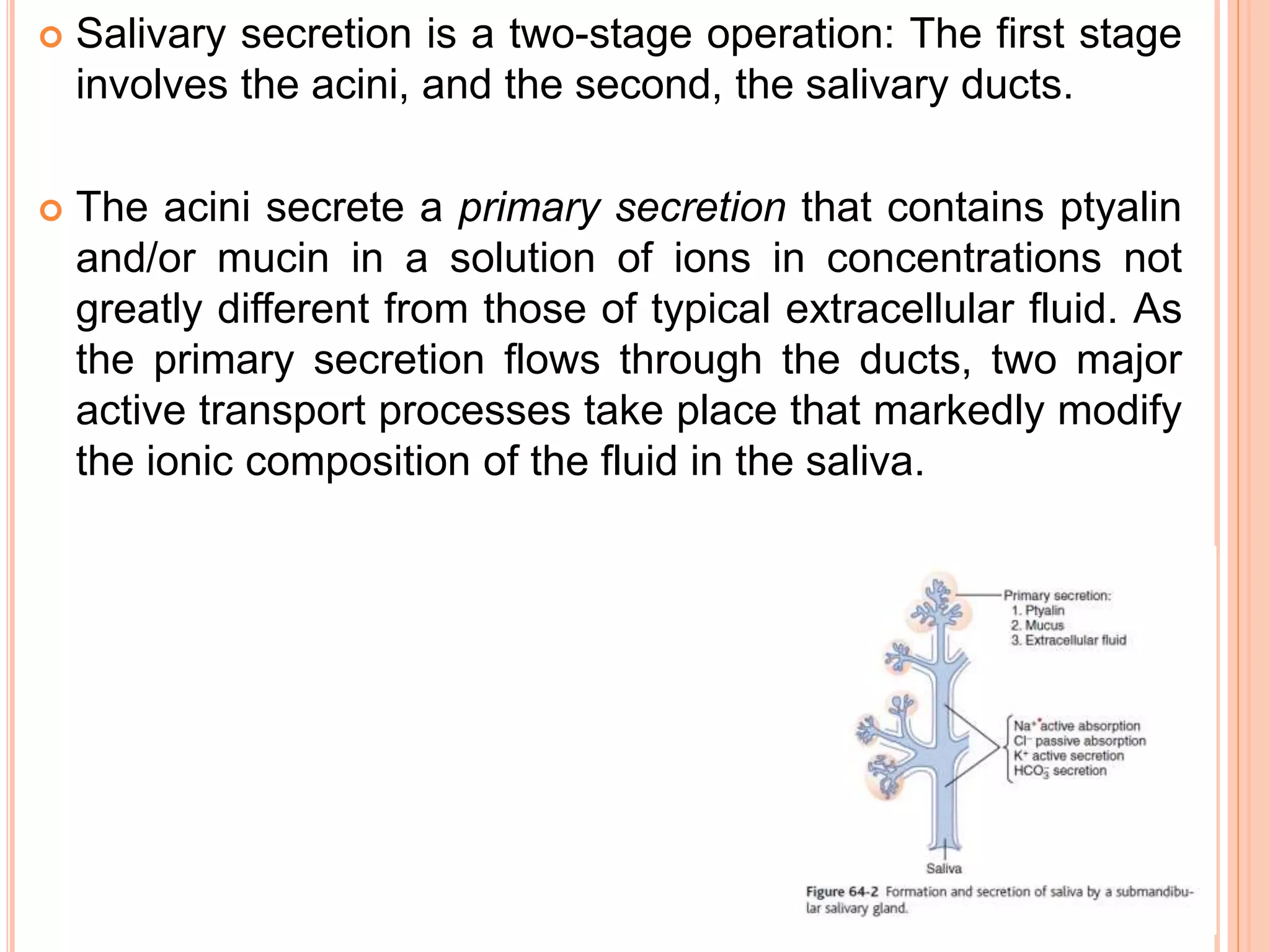 Saliva its anatomy and physiology of salivary glands | PPTX