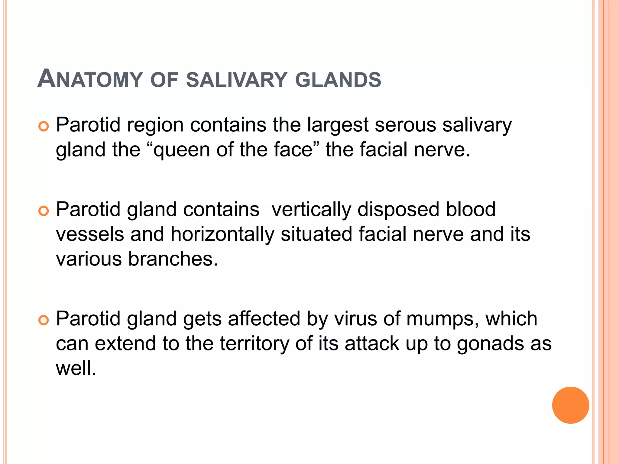 Saliva its anatomy and physiology of salivary glands | PPTX