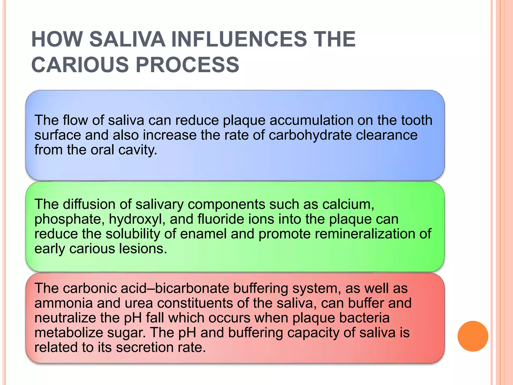 Saliva its anatomy and physiology of salivary glands | PPTX
