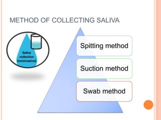 Saliva its anatomy and physiology of salivary glands | PPTX