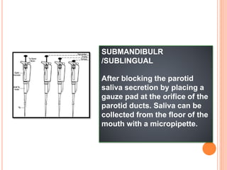 Saliva its anatomy and physiology of salivary glands | PPTX