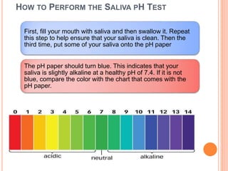 Saliva its anatomy and physiology of salivary glands | PPTX
