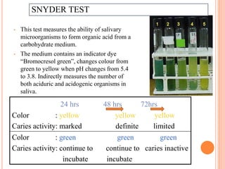 Saliva its anatomy and physiology of salivary glands | PPTX