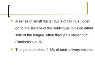 salivary-glands and its classification and its role | PPT
