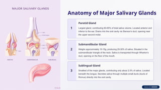 Salivary-Glands-Physiology-and-Function.pptx