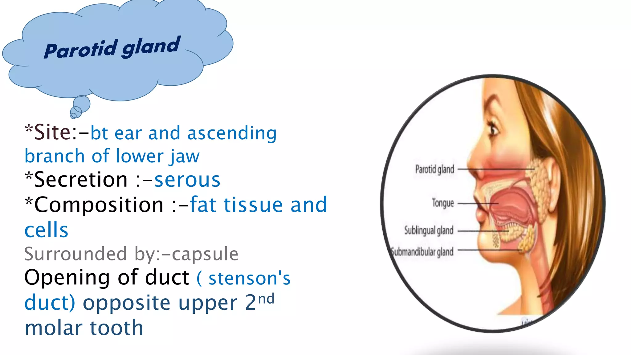 Salivary stone | PPTX