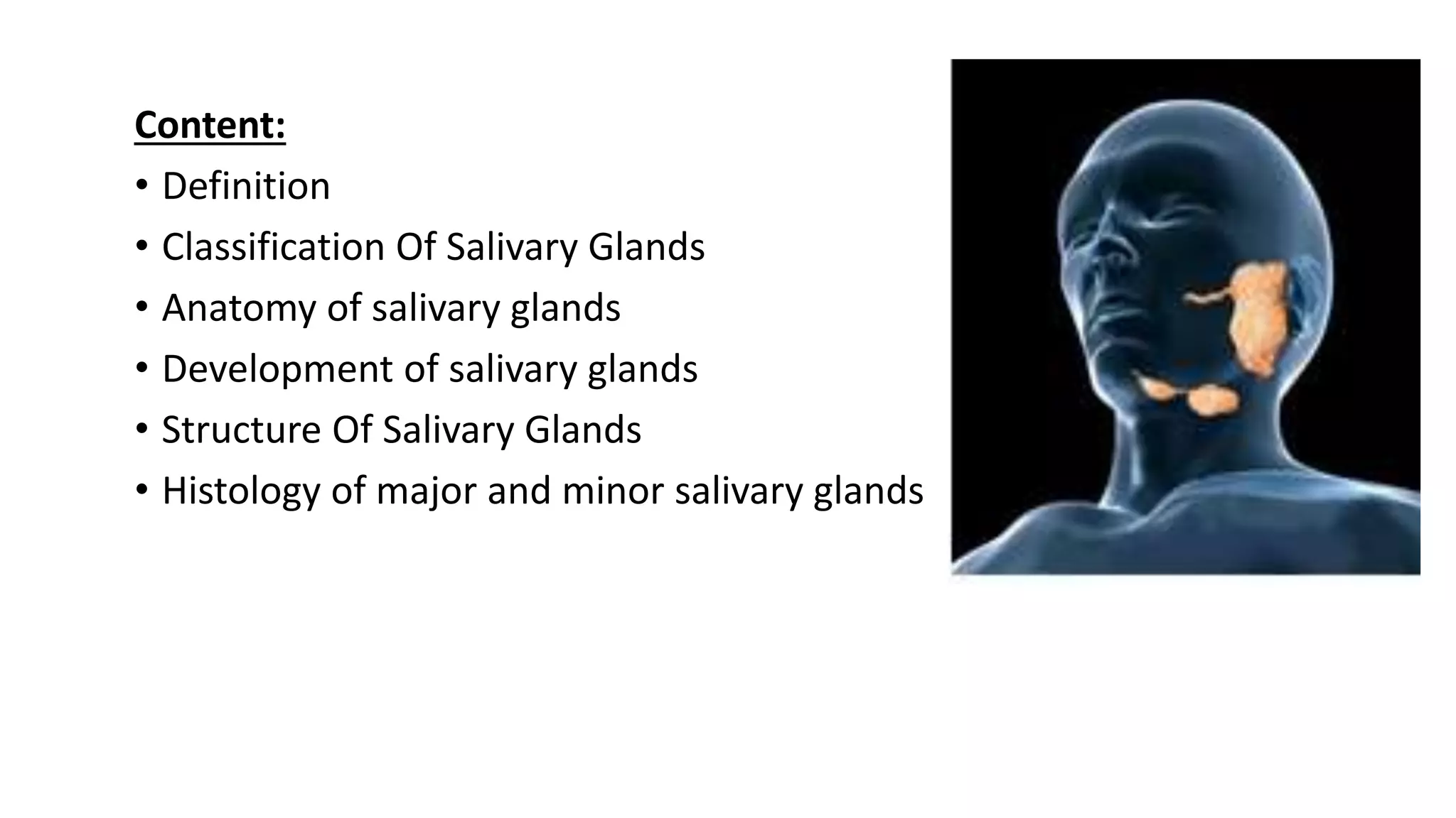 Salivary Gland | PPTX