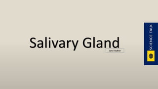 Salivary gland | PPTX