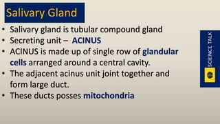 Salivary gland | PPTX