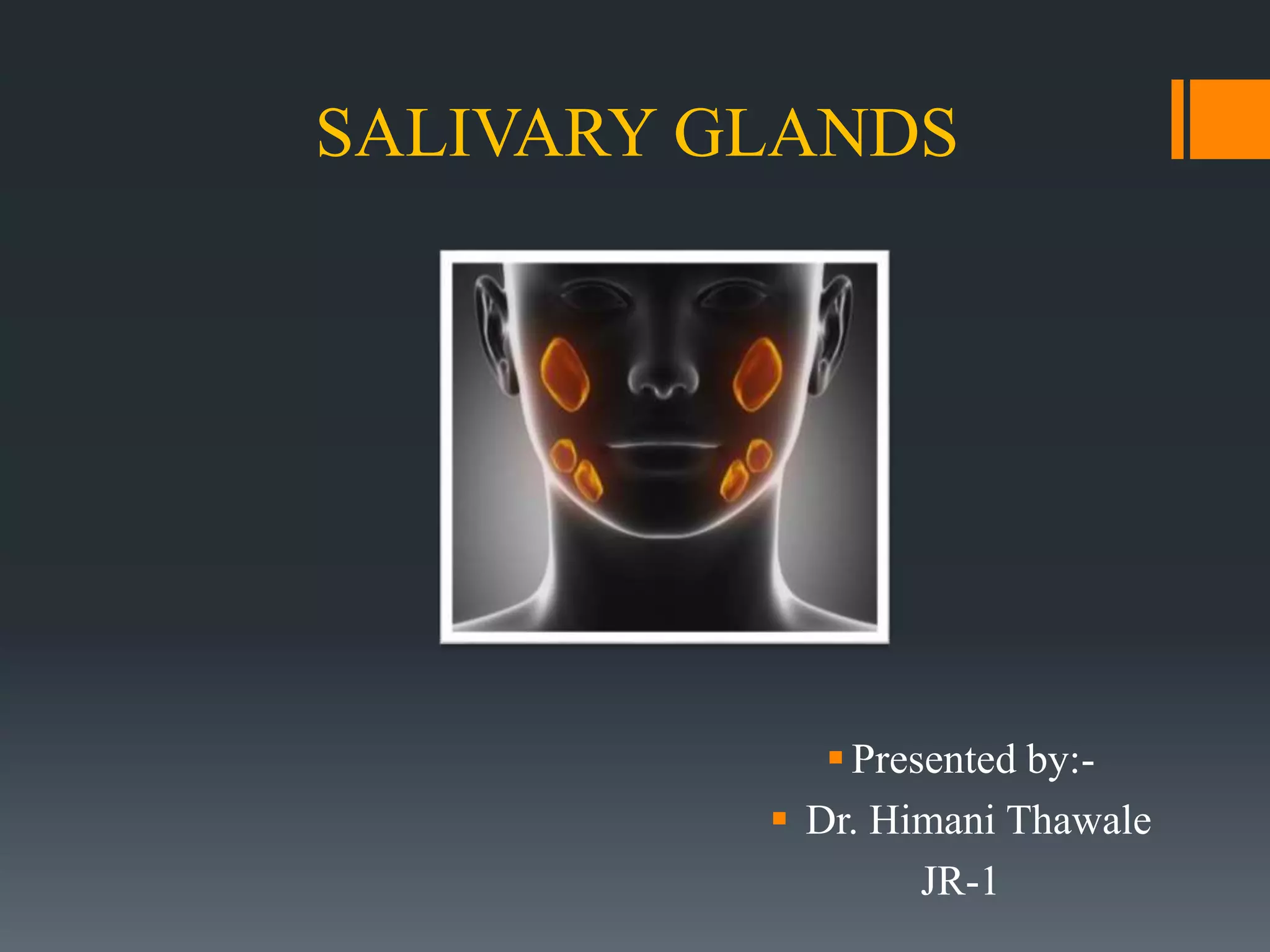 Salivary gland | PPT