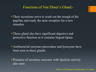 Salivary gland | PPTX