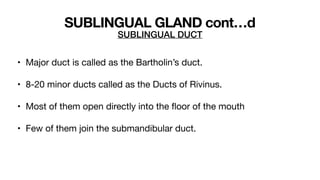 Salivary glands | PDF