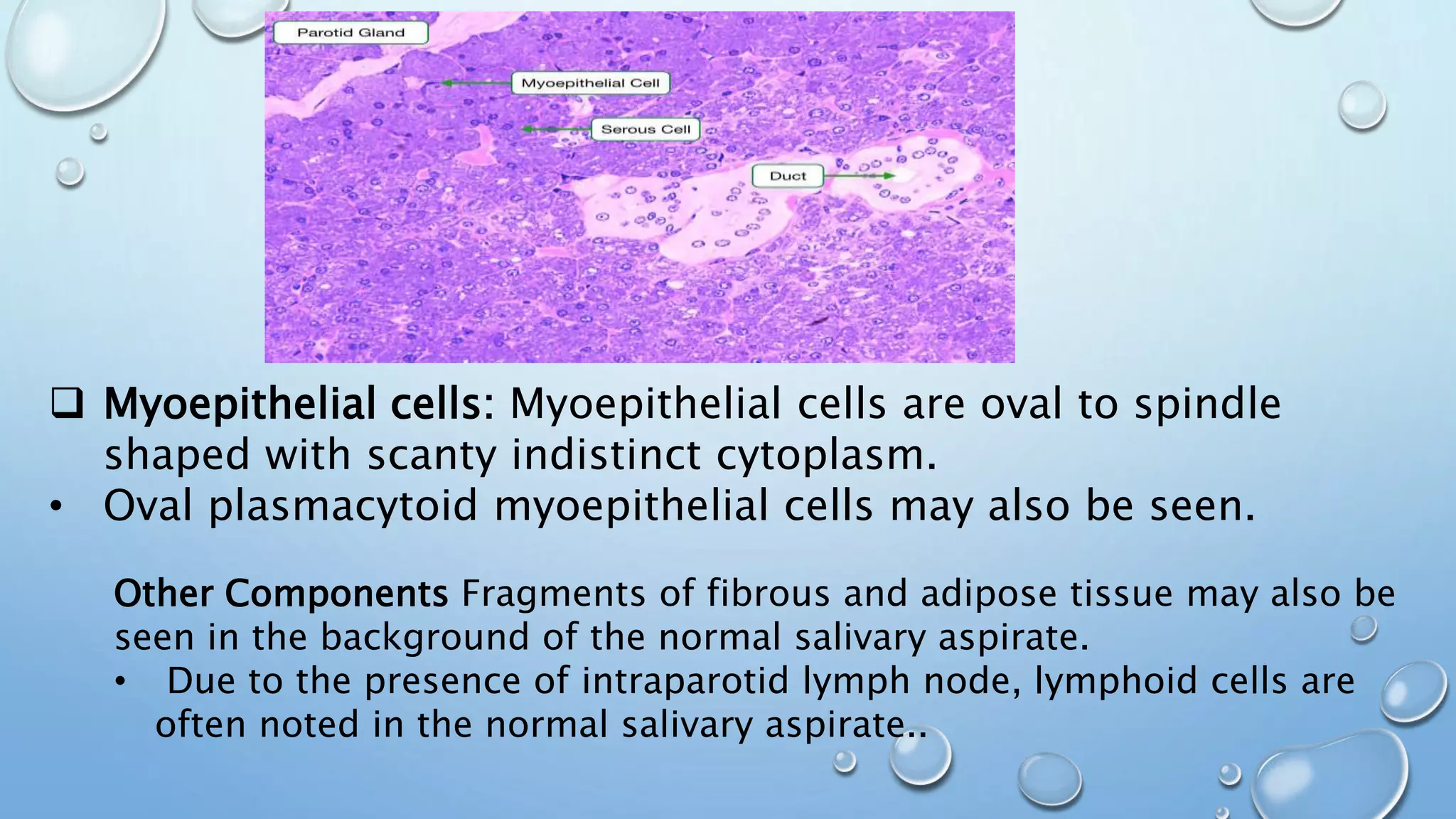 Salivary gland-- cytology .pptx