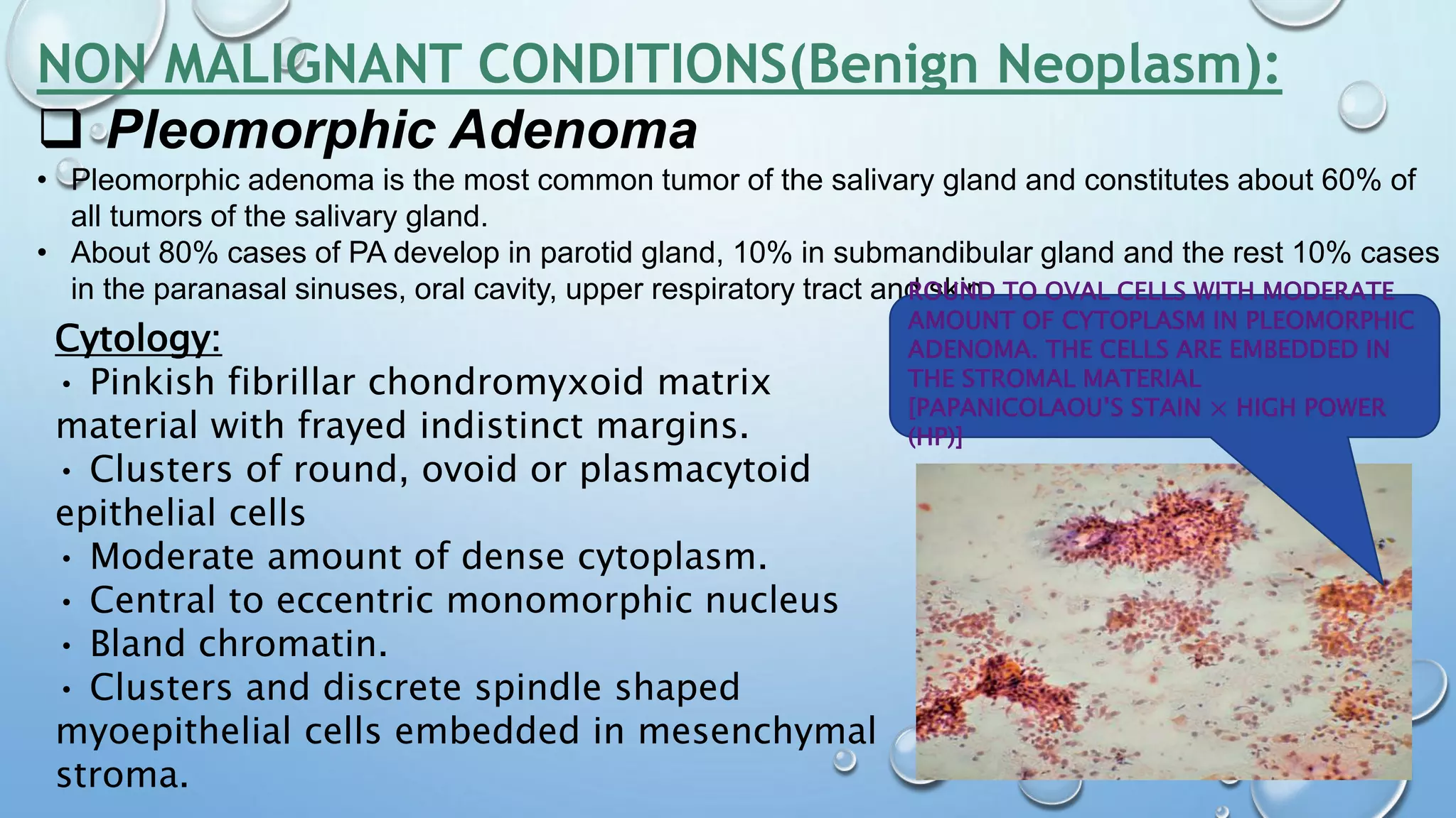 Salivary gland-- cytology .pptx