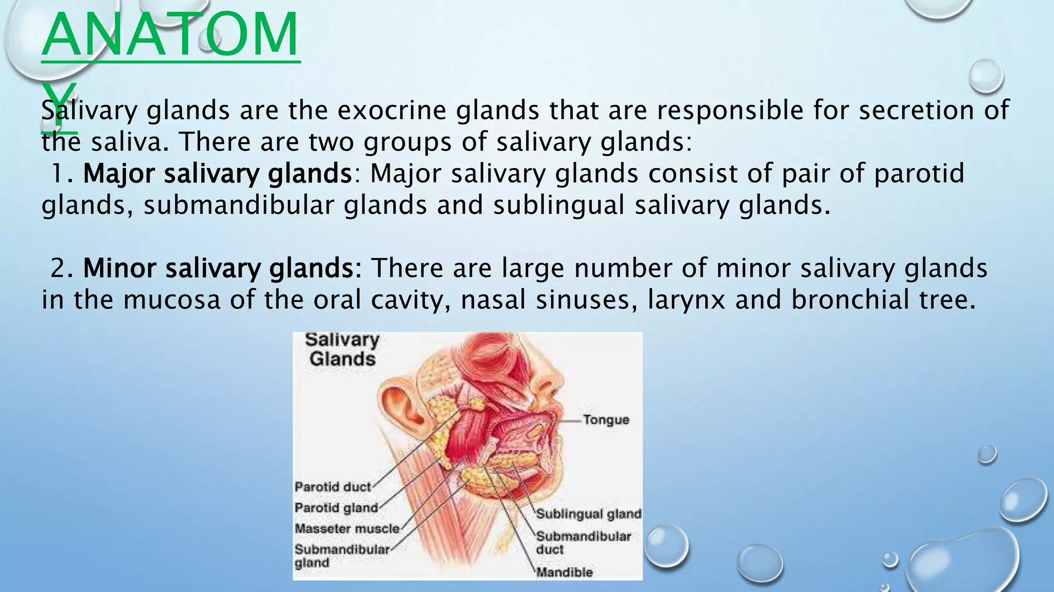 Salivary gland-- cytology .pptx