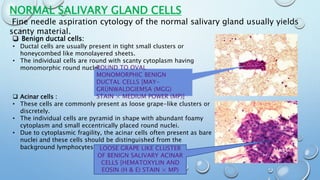 Salivary gland-- cytology .pptx