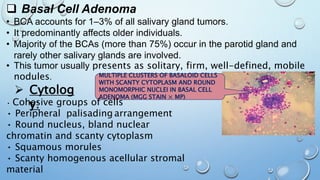 Salivary gland-- cytology .pptx
