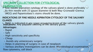 Salivary gland-- cytology .pptx