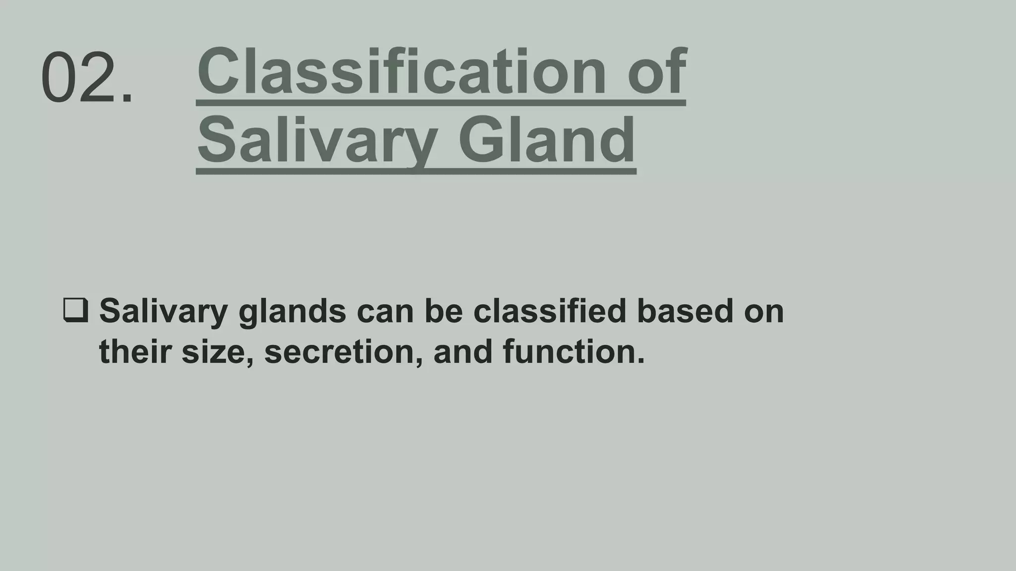 Salivary gland.pptx