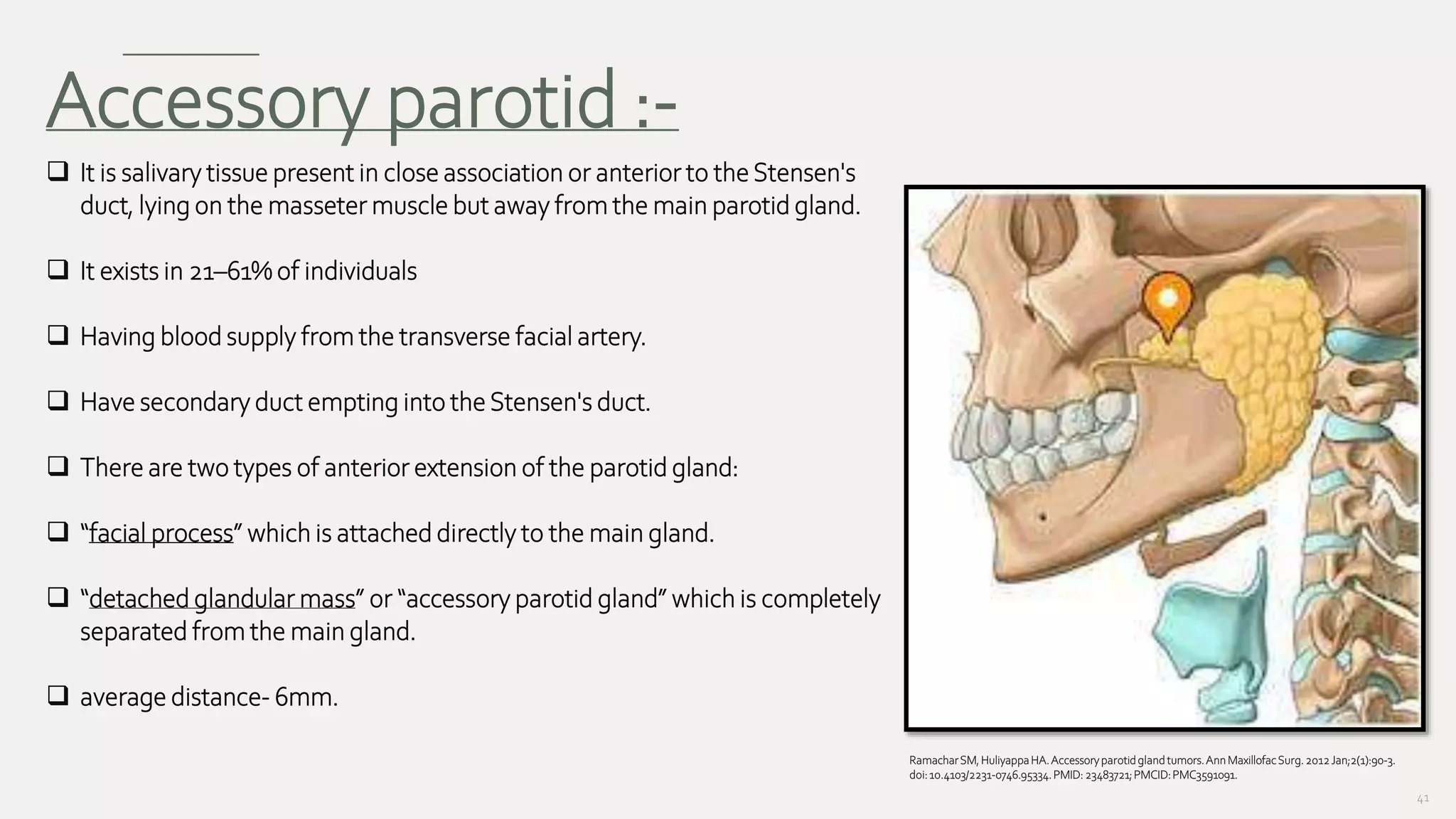 Salivary gland.pptx