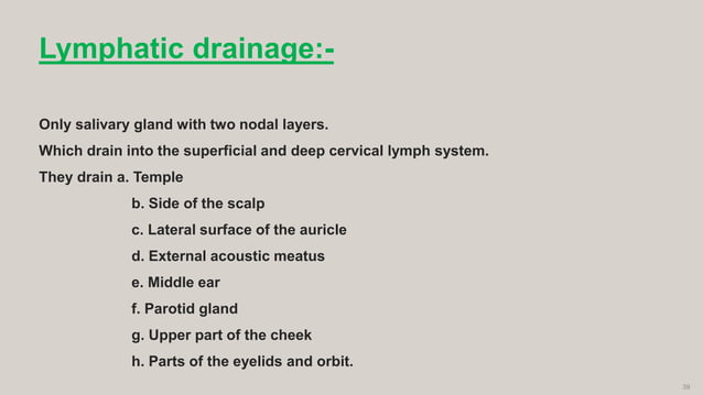 Salivary gland.pptx