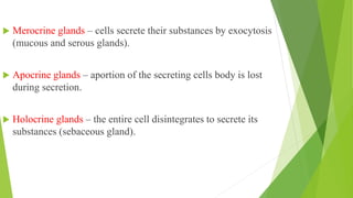 salivary gland.pptx