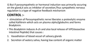 Salivary gland,basic info, function, secretion and regulation | PPTX