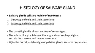 Salivary gland,basic info, function, secretion and regulation | PPTX