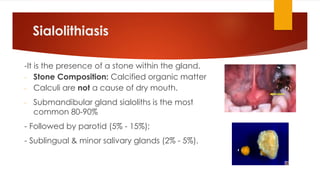 Salivary glands diseases.pdf. lecture oral medicine | PDF