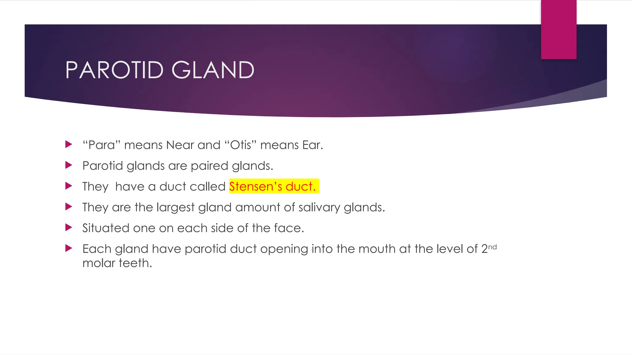 Salivary glands/ digestive system/ microteaching | PPTX