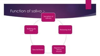 Salivary glands/ digestive system/ microteaching | PPTX