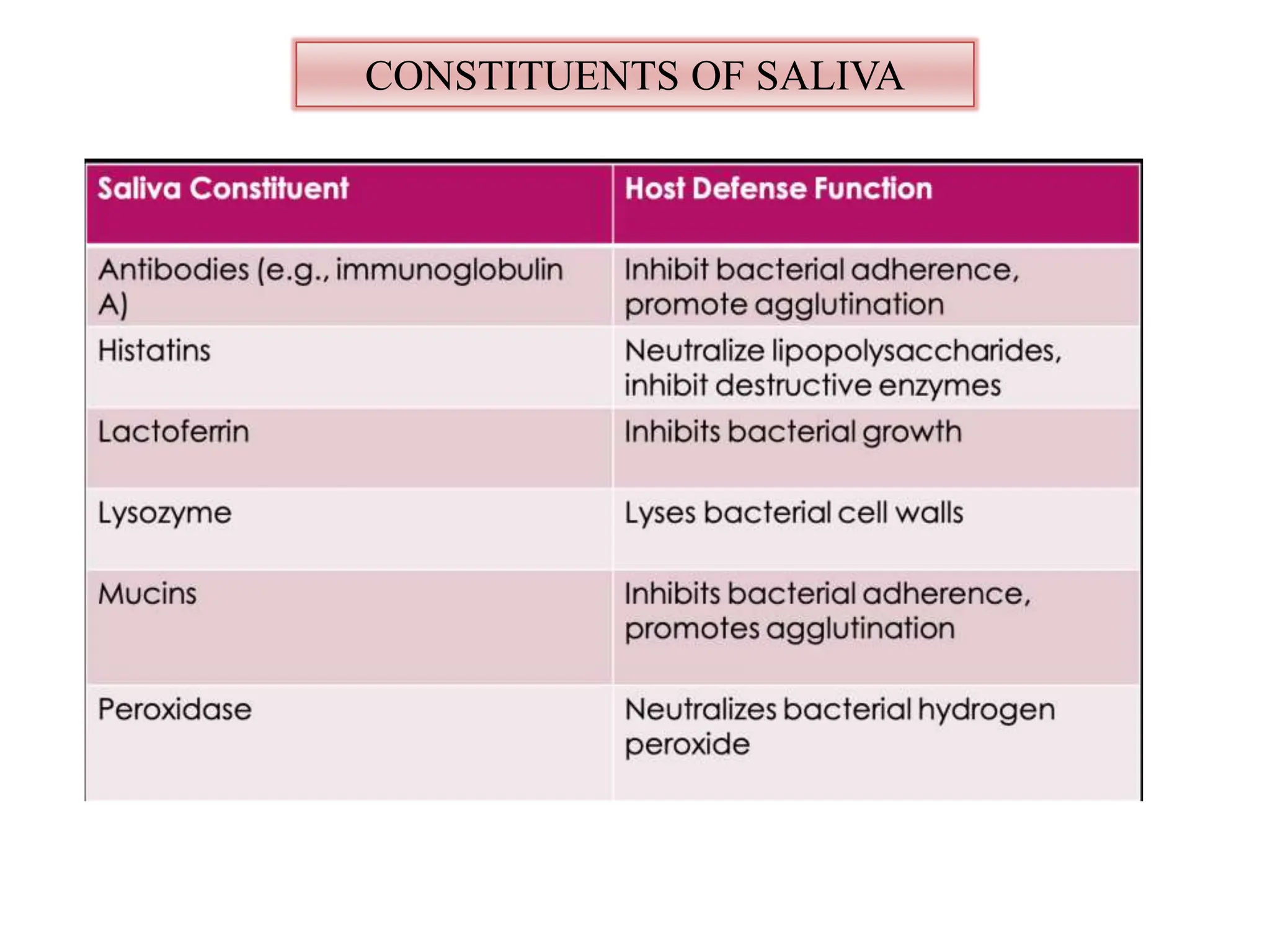 Salivary gland and its importance in dentistry | PPTX