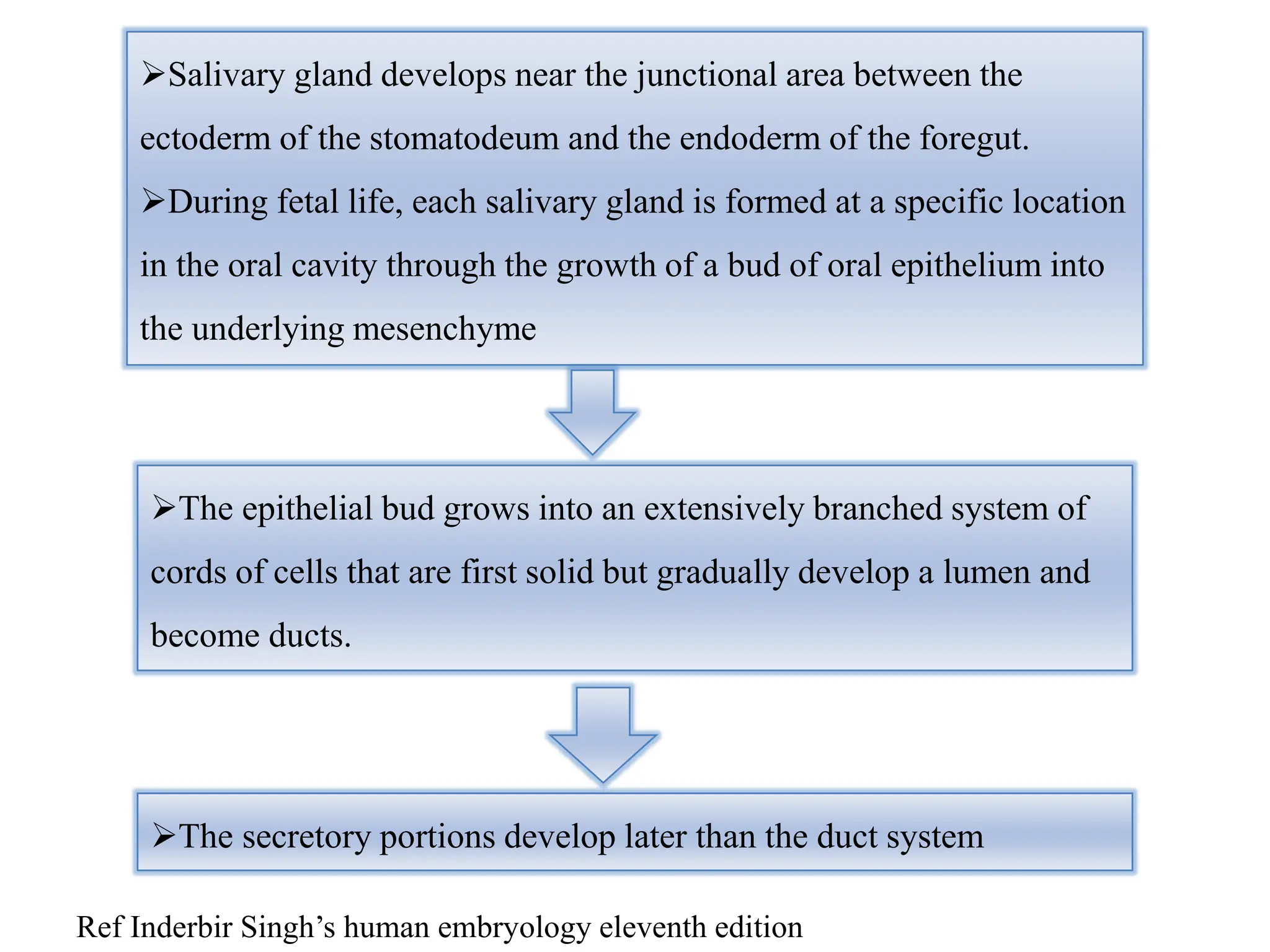Salivary gland and its importance in dentistry | PPTX