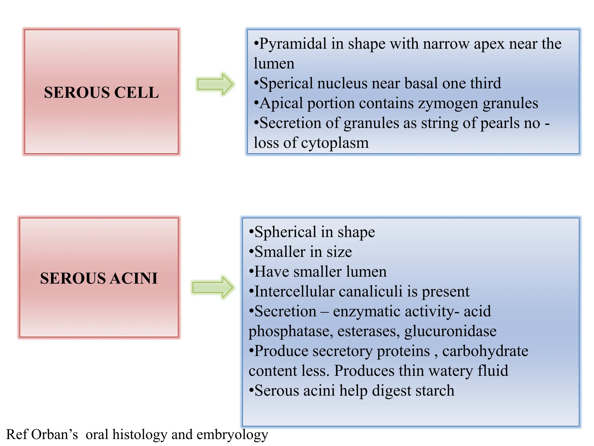 Salivary gland and its importance in dentistry | PPTX