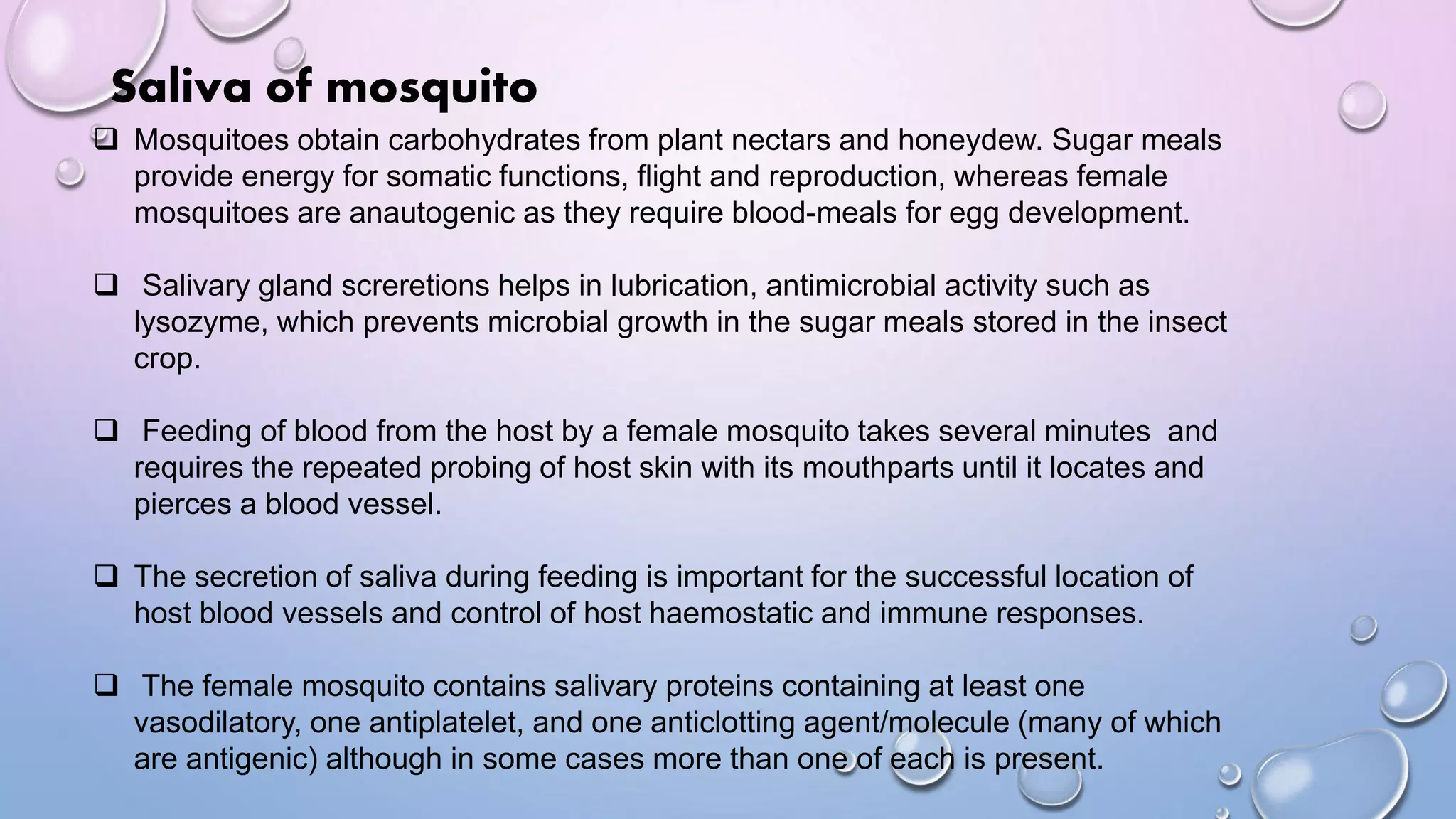 Salivary gland and its secretion in mosquitoes | PPTX