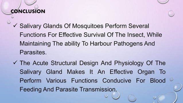 Salivary gland and its secretion in mosquitoes | PPTX