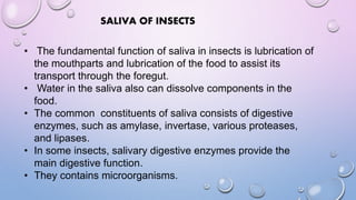 Salivary gland and its secretion in mosquitoes | PPTX