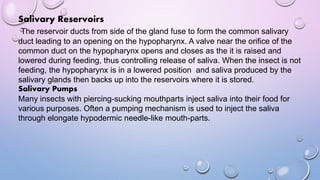 Salivary gland and its secretion in mosquitoes | PPTX