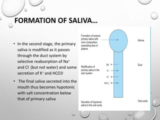 salivary gland and saliva.pptx
