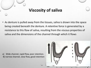 salivary gland and saliva.pptx
