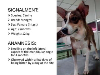 Salivary gland cyst | PPT
