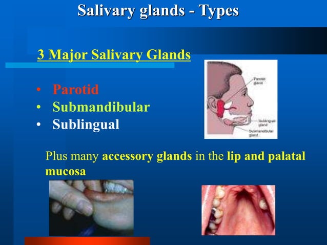 salivary_gland_disease_and_management.ppt