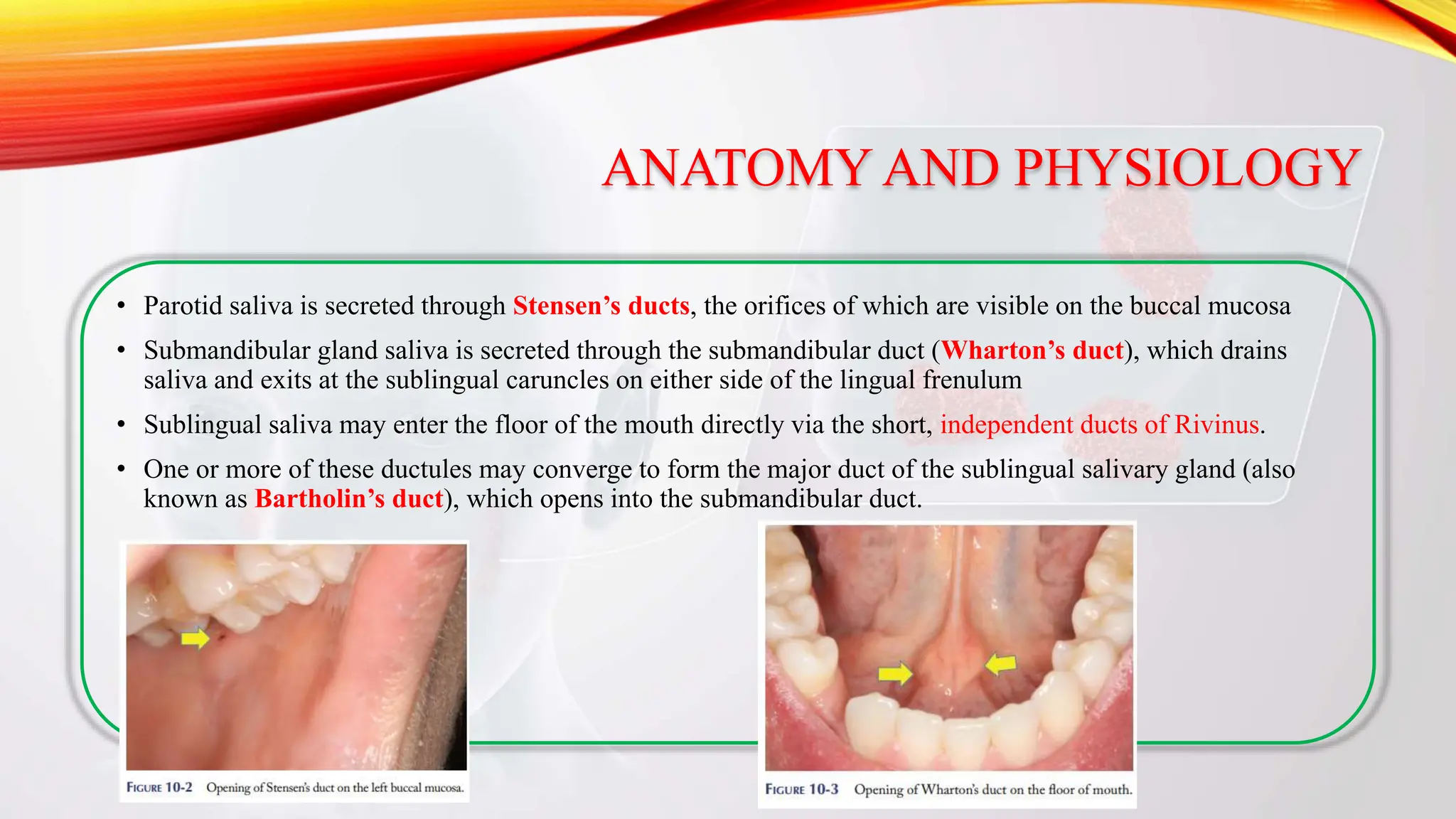 MAJOR SALIVARY GLAND DISORDERS- DIAGNOSIS AND INVESTIGATIONS | PPTX | Ear, Nose and Throat ...
