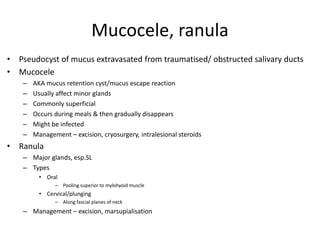 Salivary gland disorders | PPTX