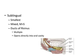 Salivary gland disorders | PPTX